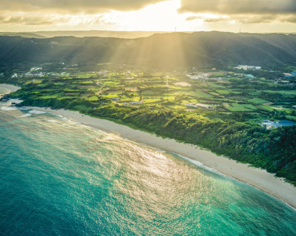 The Amami Islands - World Tribune