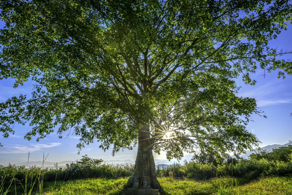 Conspicuous and Inconspicuous Benefits - World Tribune