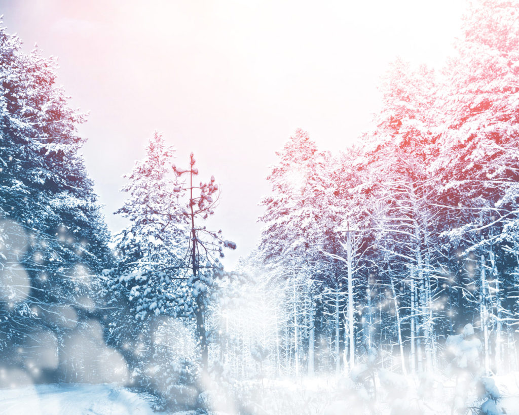 Advance on the Long Journey of Kosen-rufu! - World Tribune