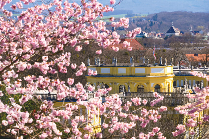 The Protective Forces of Kosen-rufu - World Tribune