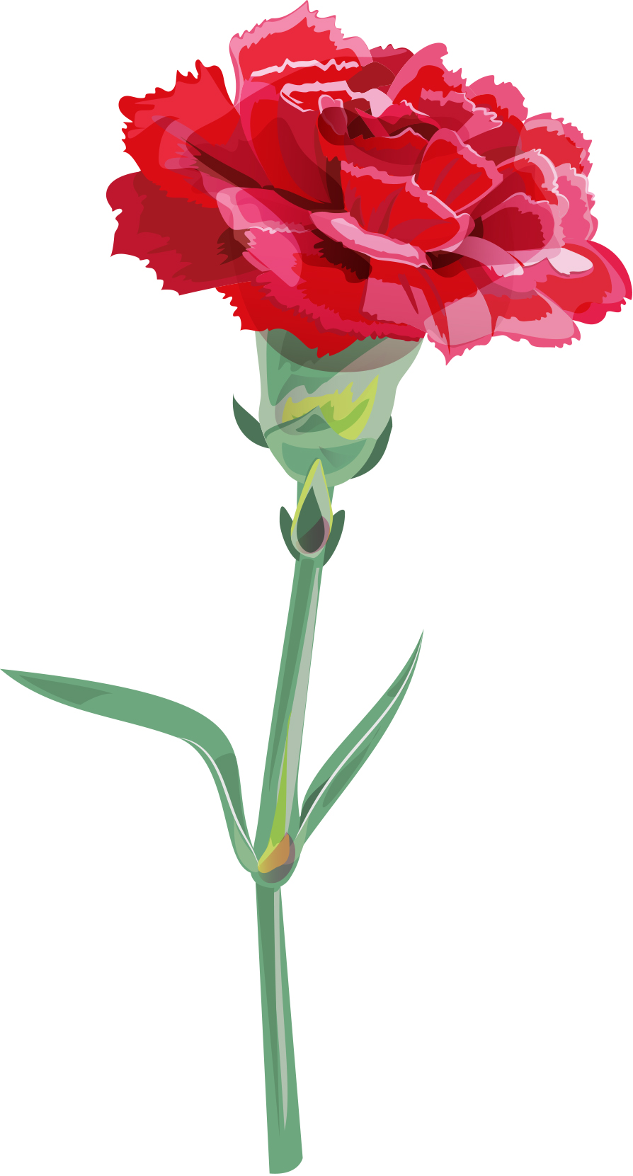 The Origins of Mother’s Day - World Tribune