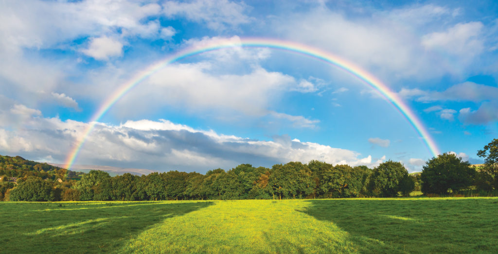 Ties of Karma From the Distant Past - World Tribune