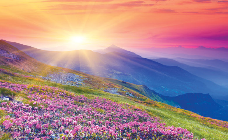 Soka Spirit Archives - World Tribune