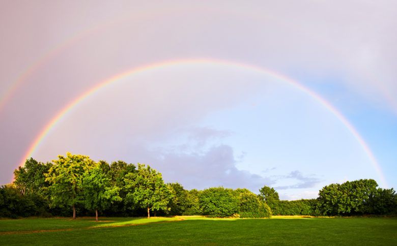 The Spirit of Soka Youth Burns Brighter in July (Part 2) - World Tribune