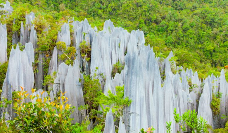 Gunung Mulu National Park, Malaysia - World Tribune