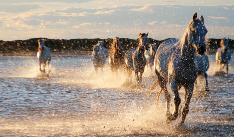 7 Ways Daimoku Can Revitalize Our Lives - World Tribune