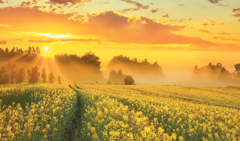 Glorious May 3 - World Tribune