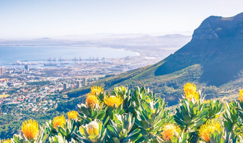 Cape Floral Region Protected Areas - World Tribune